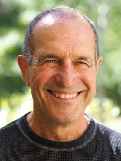 Thomas Hitoshi Pruiksma - Taller Than a Mountain: An Online Course